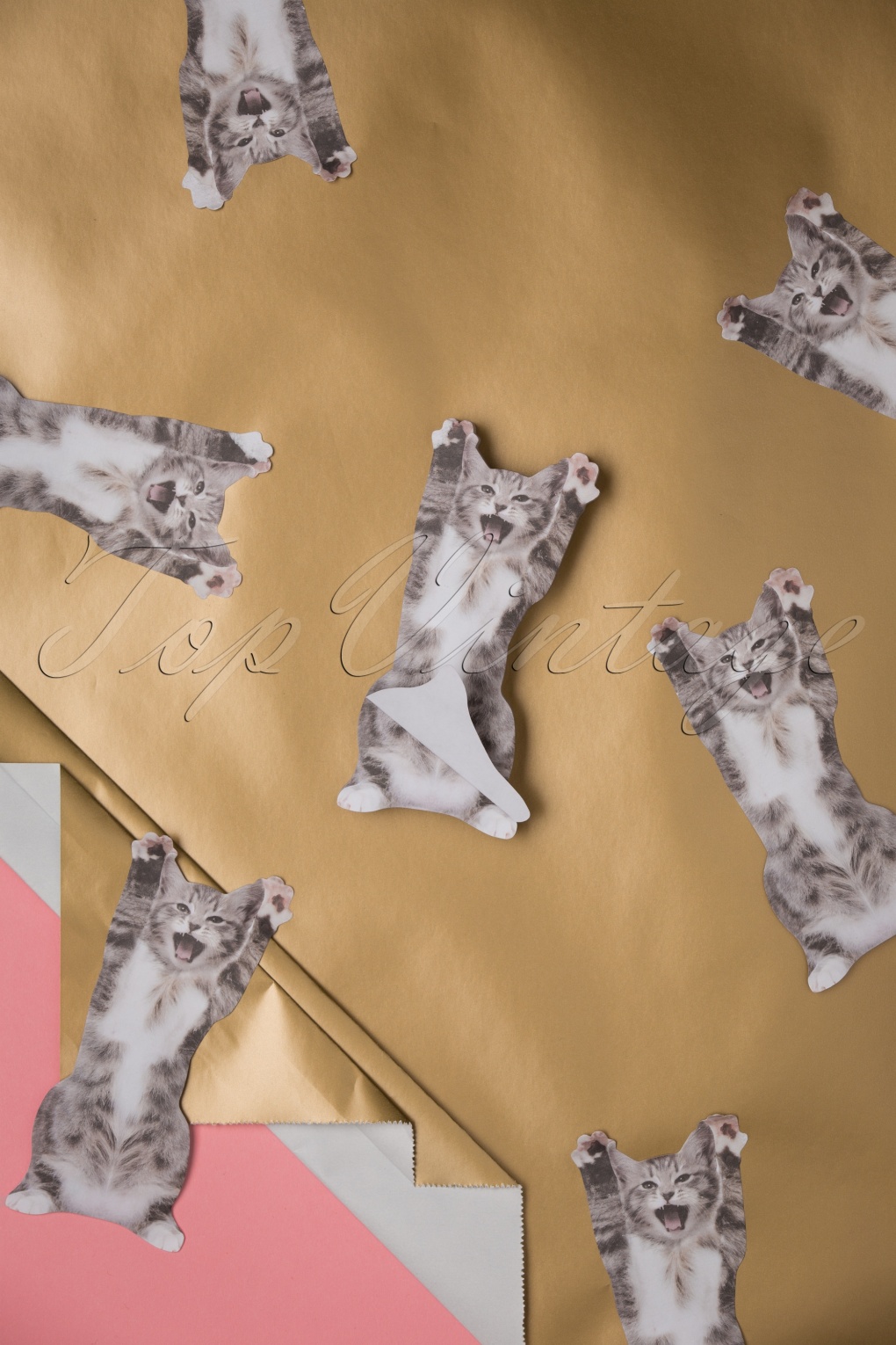 Mustard | Cat In a Box Sticky Notes